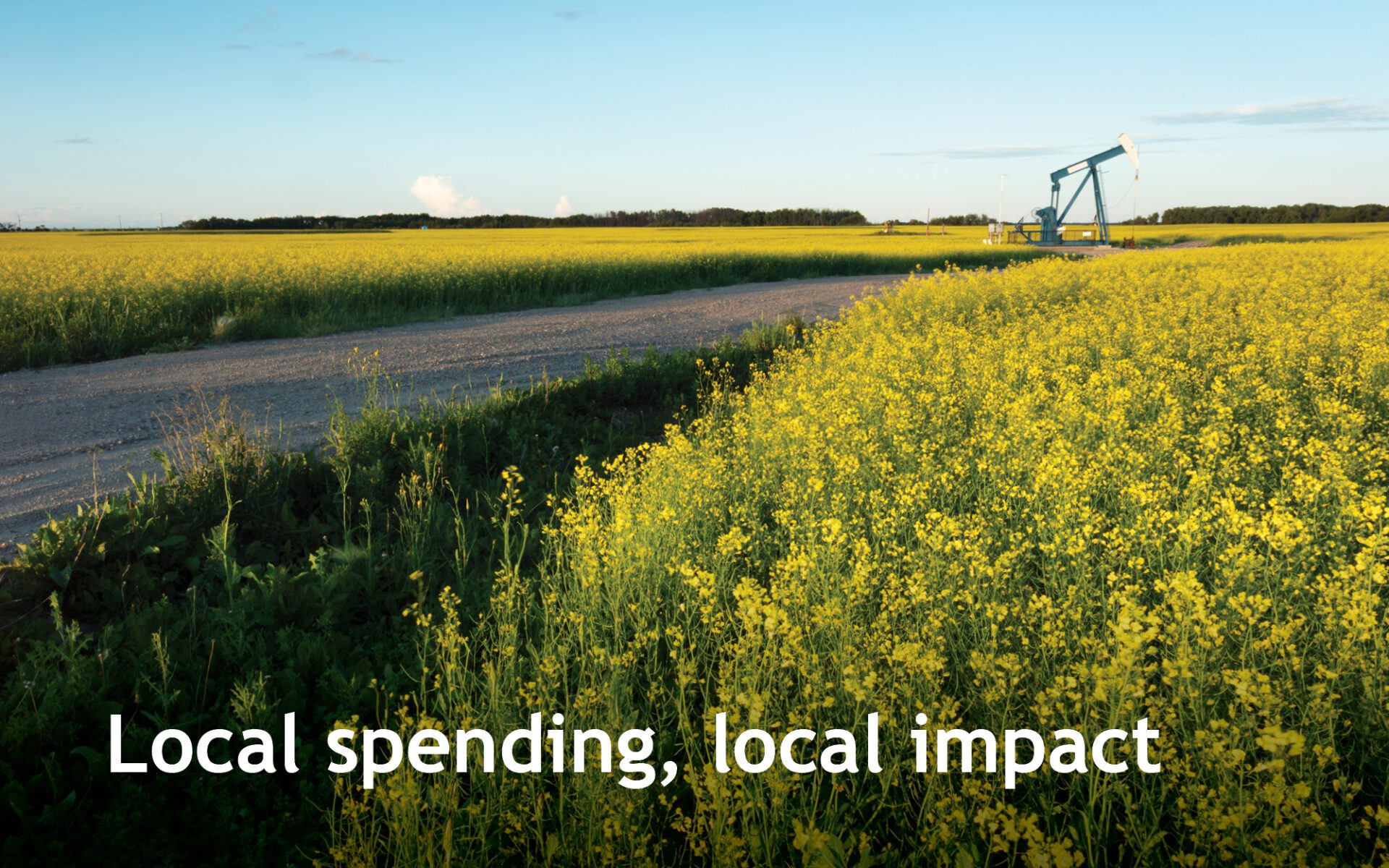 “Local spending, local impact” campaign - Creative Fire